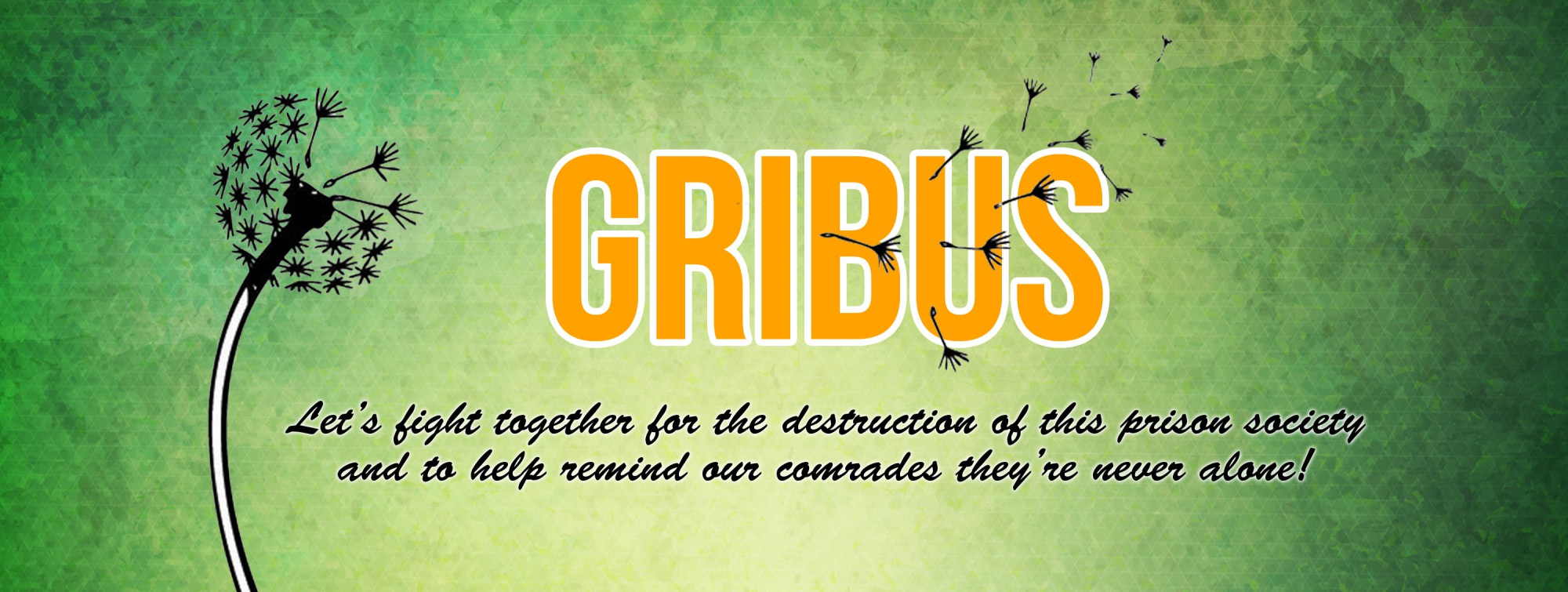 gribus